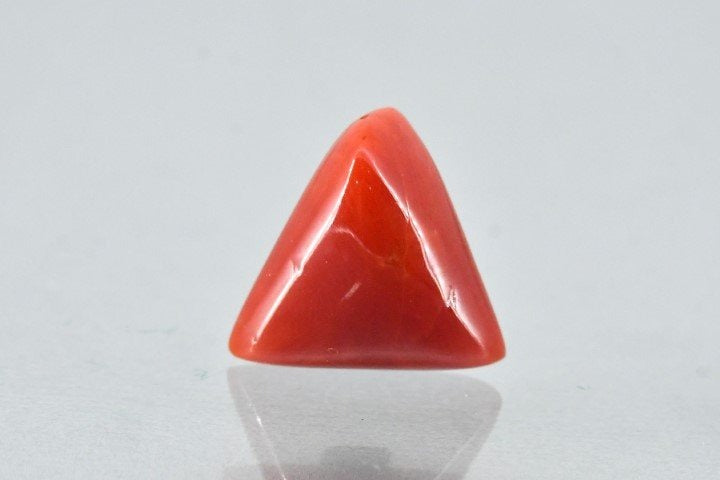 Triangular Red Coral – Gem Selections