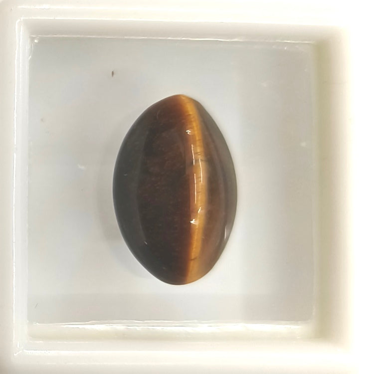 Natural Tiger Cat's Eye – Gem Selections