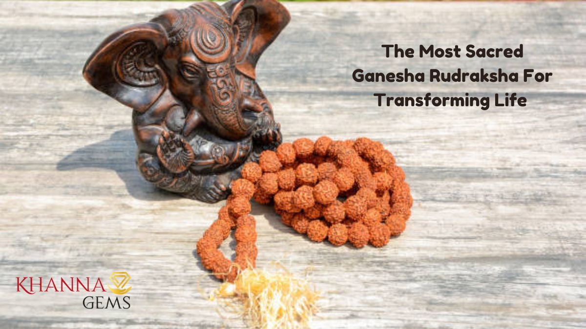 The Most Sacred Ganesha Rudraksha For Transforming Life | Gem Selections