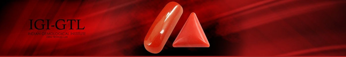 Natural Italian Triangular Moonga | Red Coral | Gem Selections