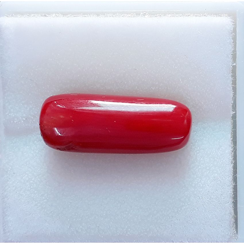 Moonga, Red coral – Gem Selections