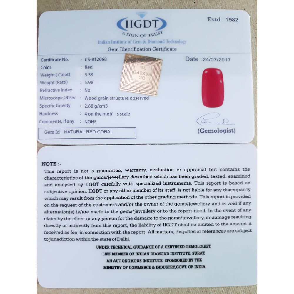 Moonga, Red coral – Gem Selections