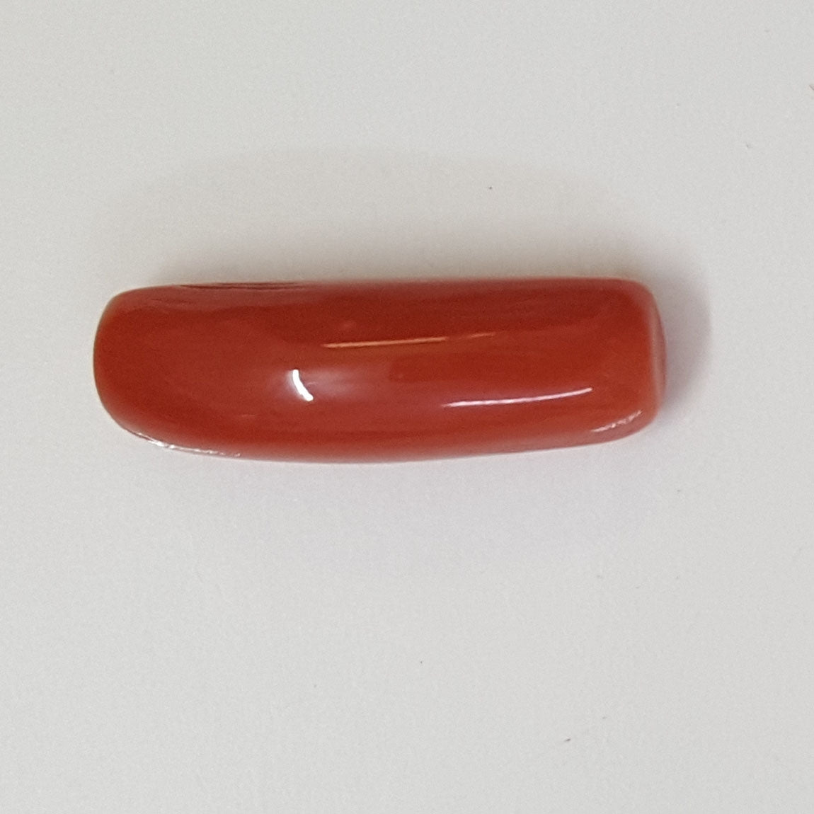 Moonga, Red coral – Gem Selections