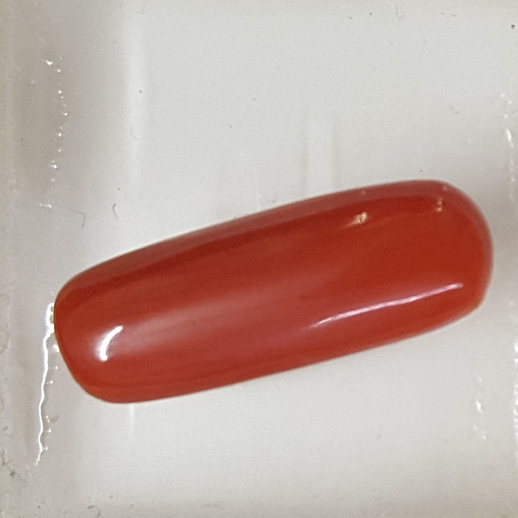 Moonga, Red coral – Gem Selections