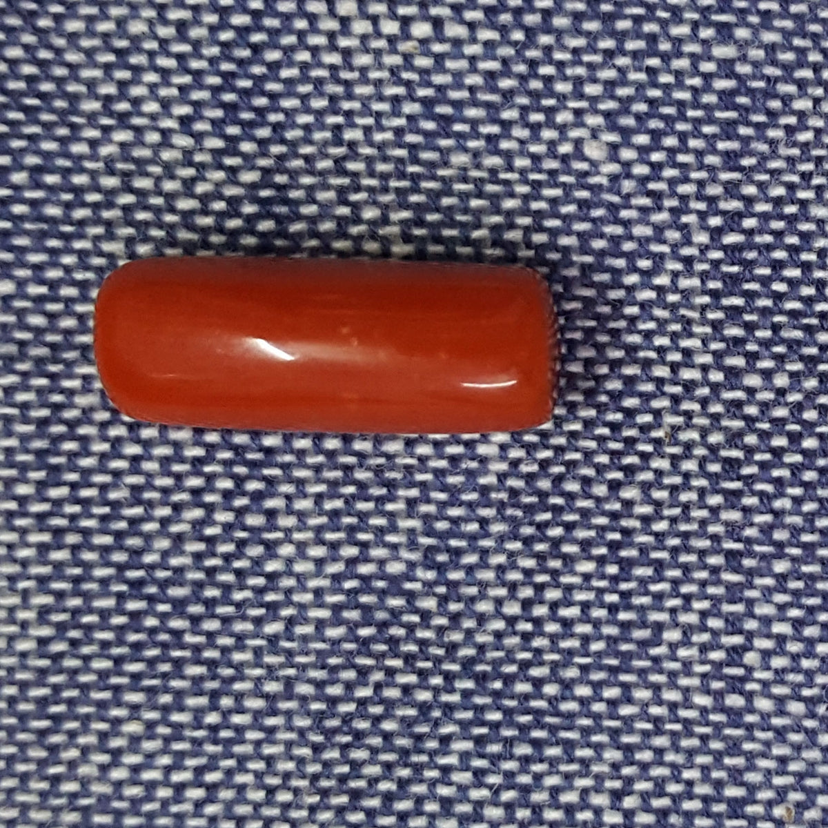 Moonga, Red coral – Gem Selections