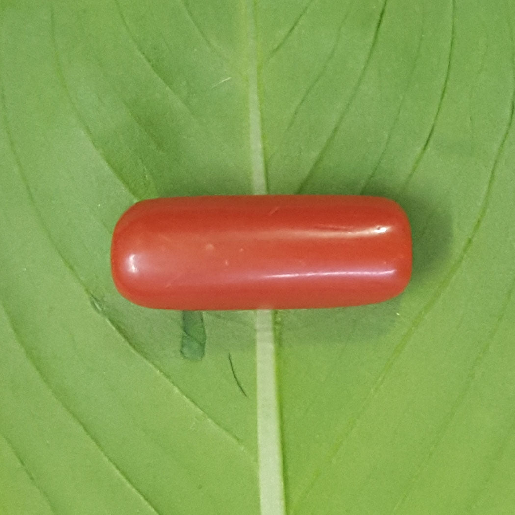 Moonga, Red coral – Gem Selections