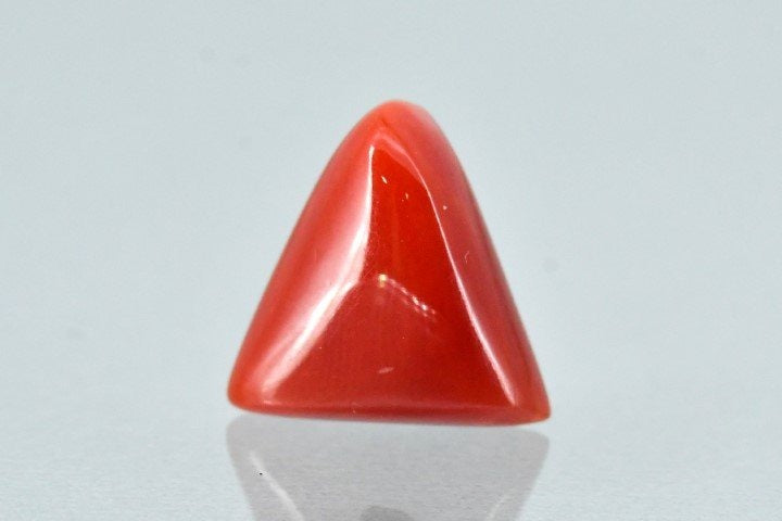 Triangular Red Coral – Gem Selections