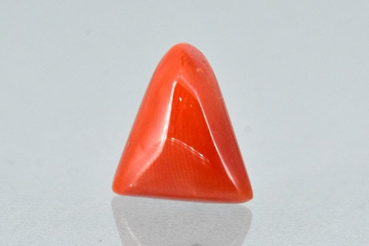 Triangular Red Coral – Gem Selections