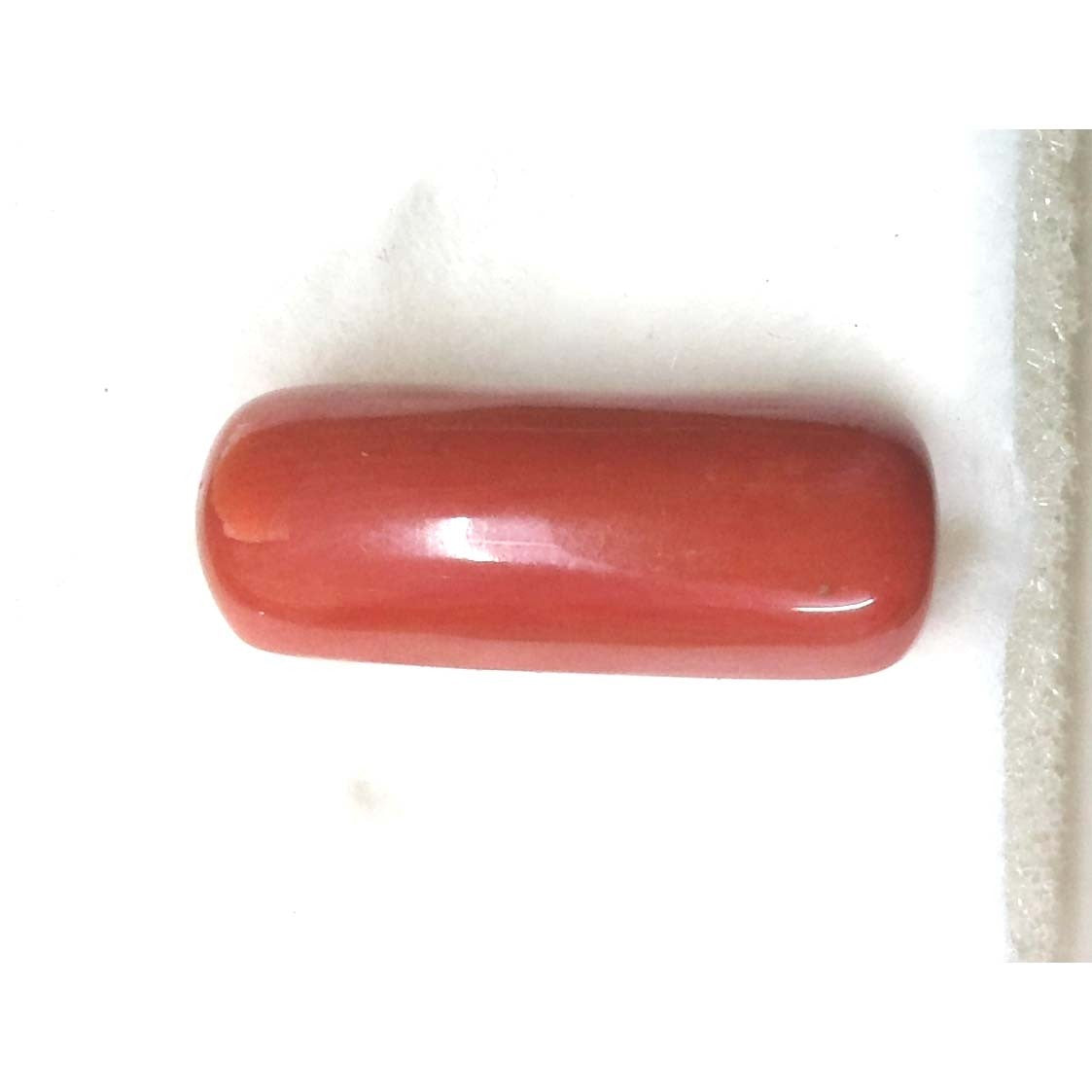 Moonga, Red coral – Gem Selections