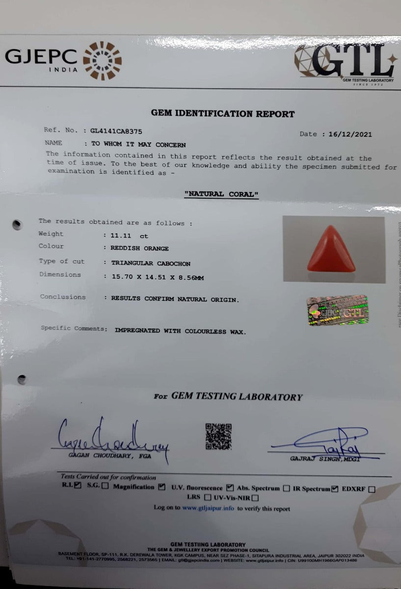 Moonga, Red coral – Gem Selections