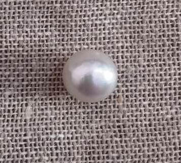 11.13/CT South Sea Pearl with Govt. Lab Certificate-1550 | Gem Selections