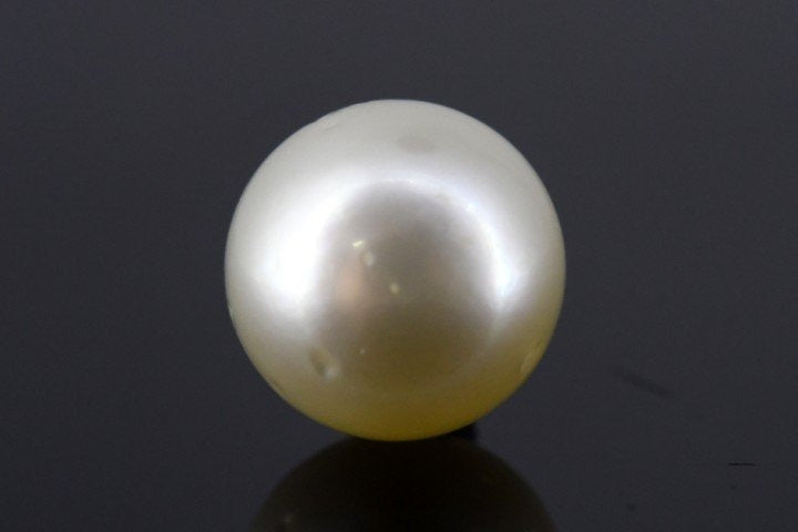 10.38/CT South Sea Pearl with Govt. Lab Certificate-1550 – Gem Selections