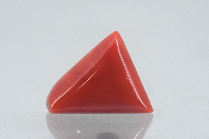 Triangular Red Coral – Gem Selections