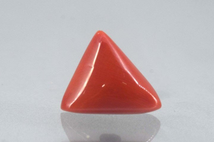 Triangular Red Coral – Gem Selections